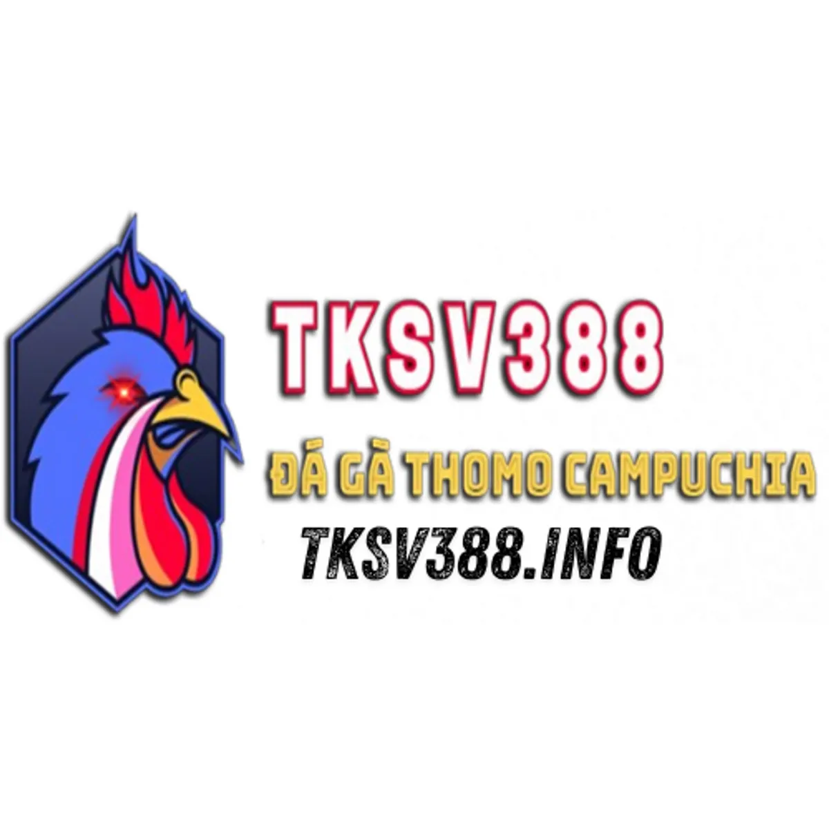 SV388 TK ⭐ (@sv388info) | Custom Link profiles in Magic.ly
