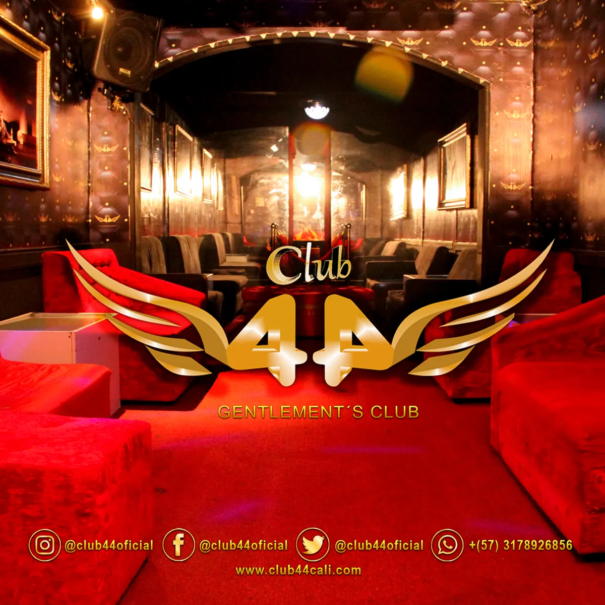 CLUB 44 CALI (@club44oficial) | Custom Link & WhatsApp | Magic.ly