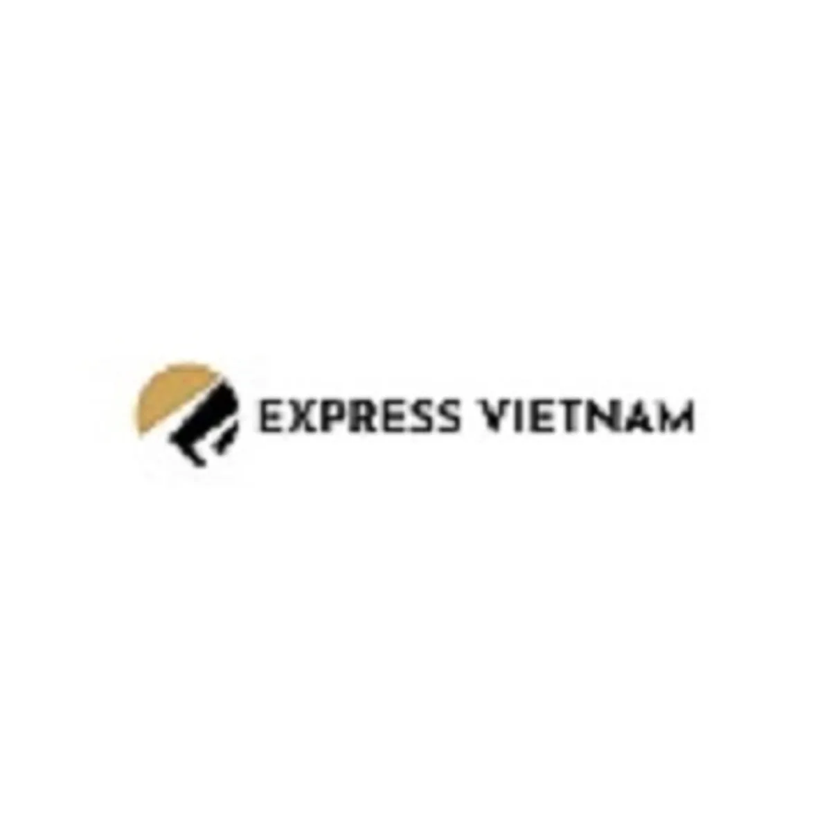 Express Vietnam ⭐ (@expressvietnam) | Instagram & Custom Link profiles ...